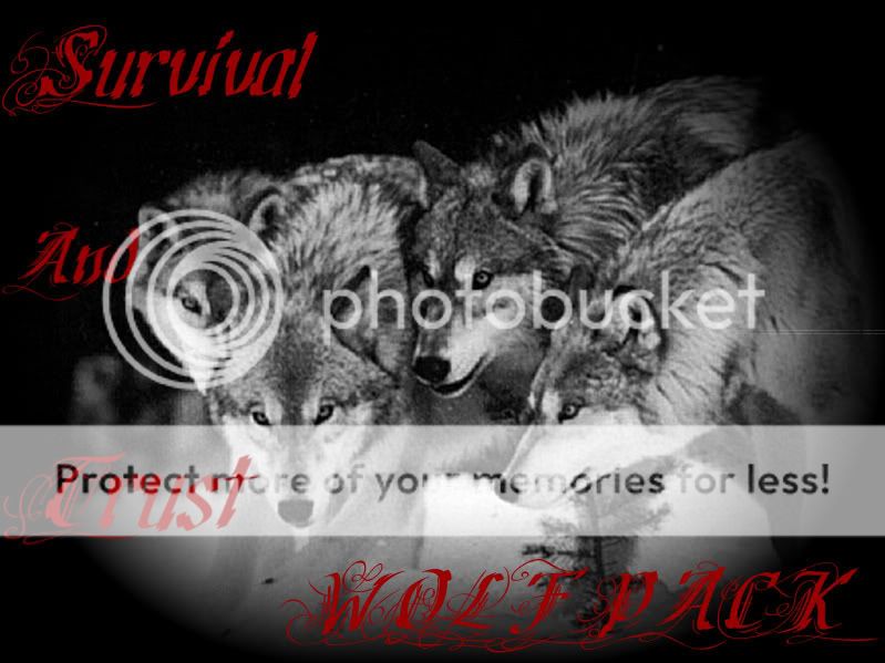 View topic - ~I Don't Pretend~(Wolf RP, Accepting) - Chicken Smoothie