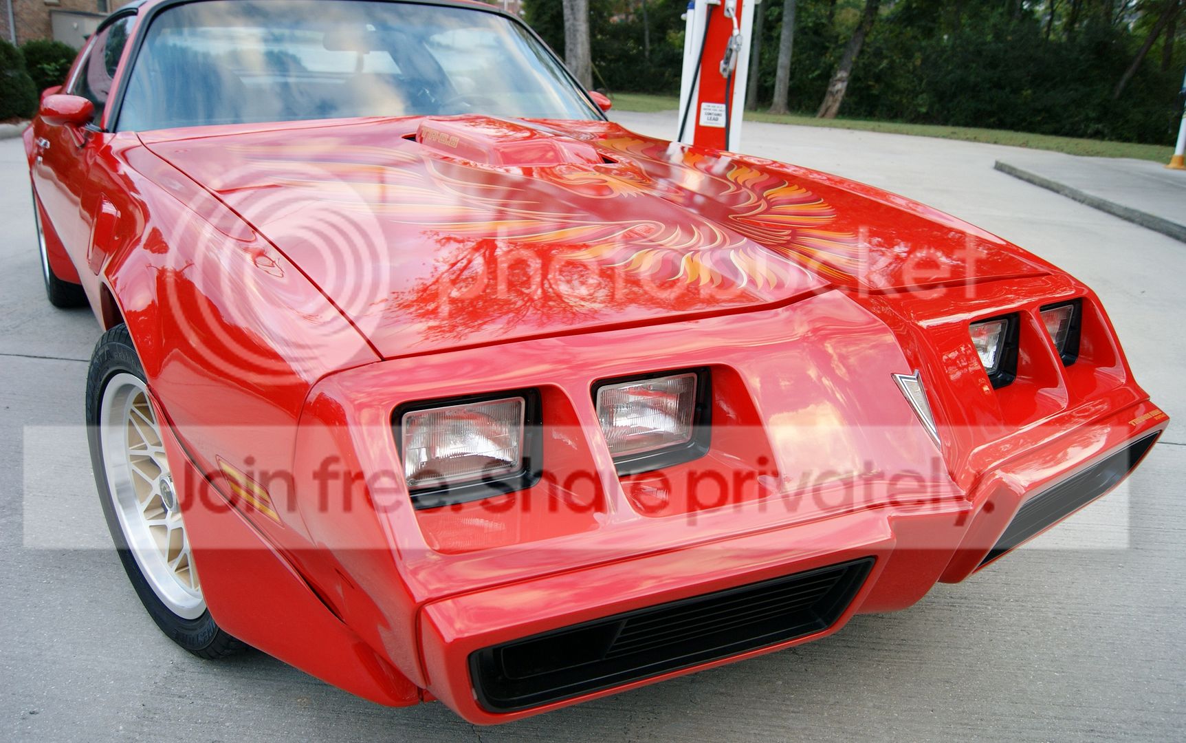 A few Pics of our Mayan Red 79 Trans Am - LS1TECH - Camaro and Firebird ...