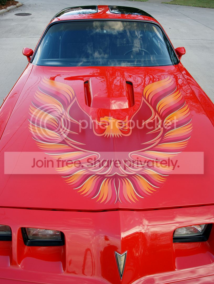 A few Pics of our Mayan Red 79 Trans Am - LS1TECH - Camaro and Firebird ...