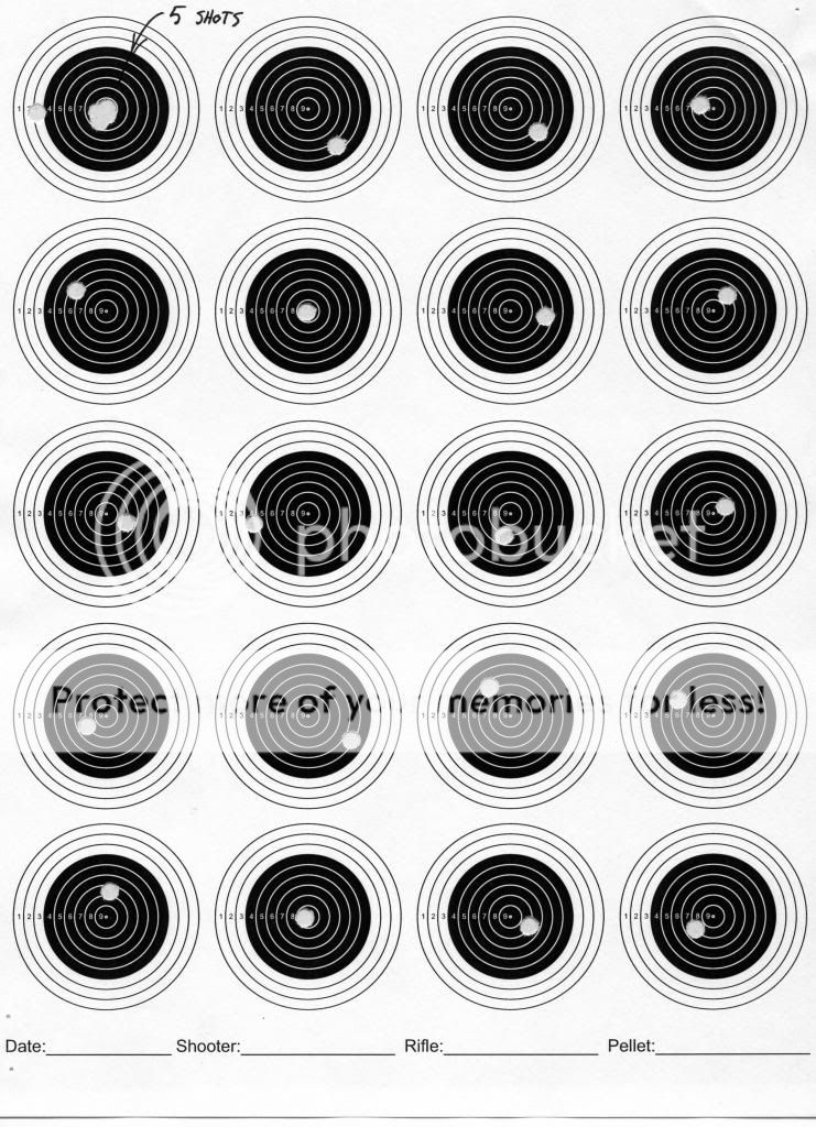 10 Meter Air Rifle Match | Rimfire Central Firearm Forum